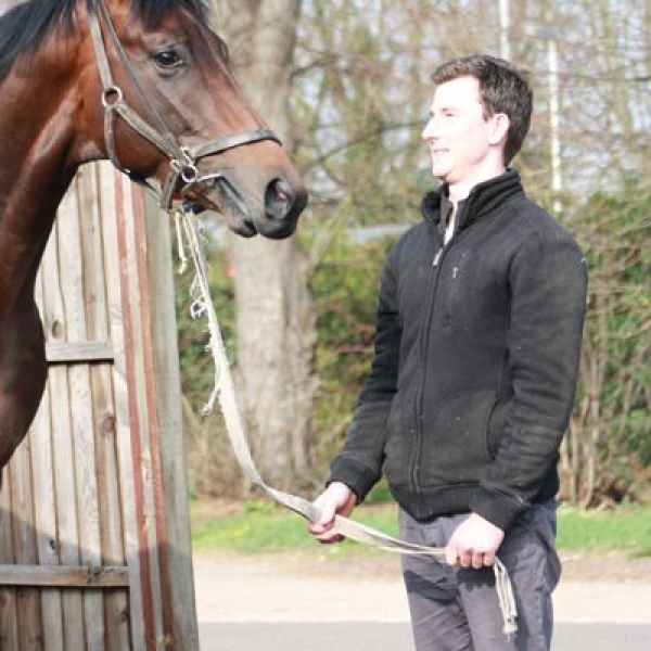 Gallery – Hillwood Stud